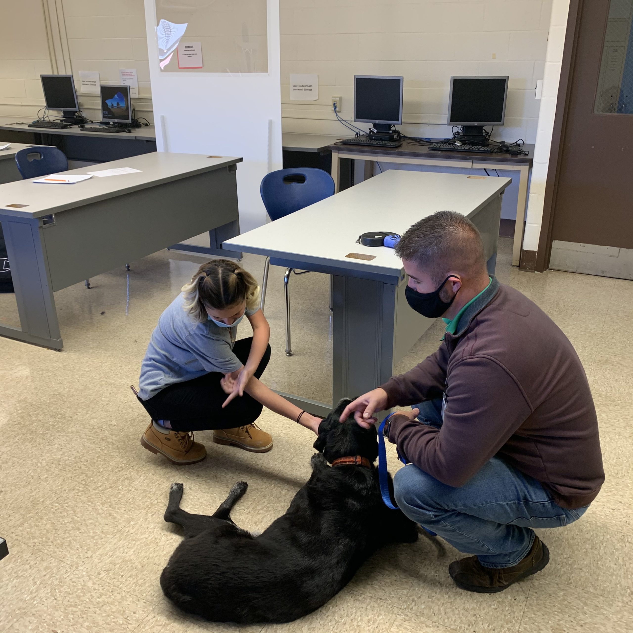 Veterinary Science - Connecticut Technical Education and Career System ...